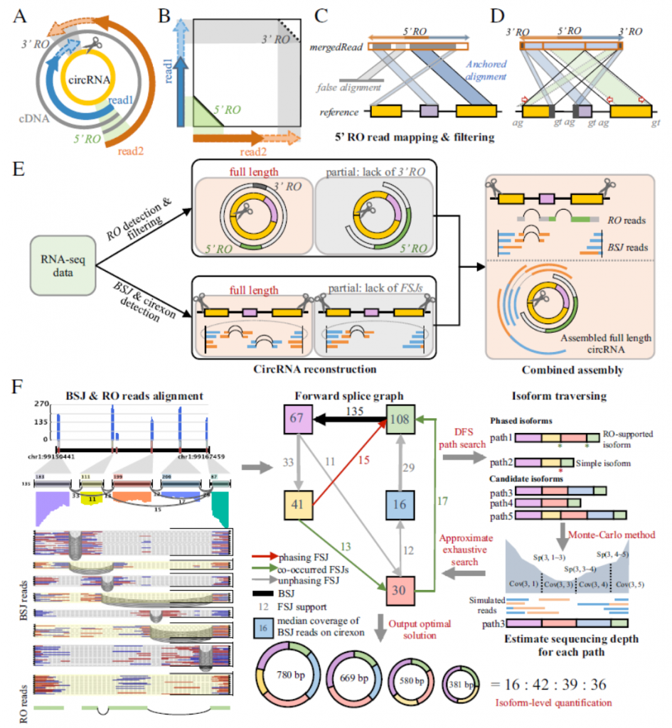赵方庆 博士/研究员 – circRNA论坛