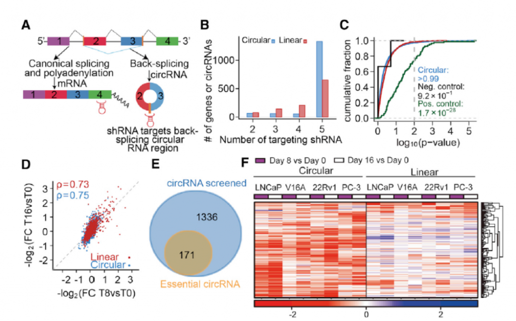 2019年度circRNA研究盘点分析 – circRNA论坛