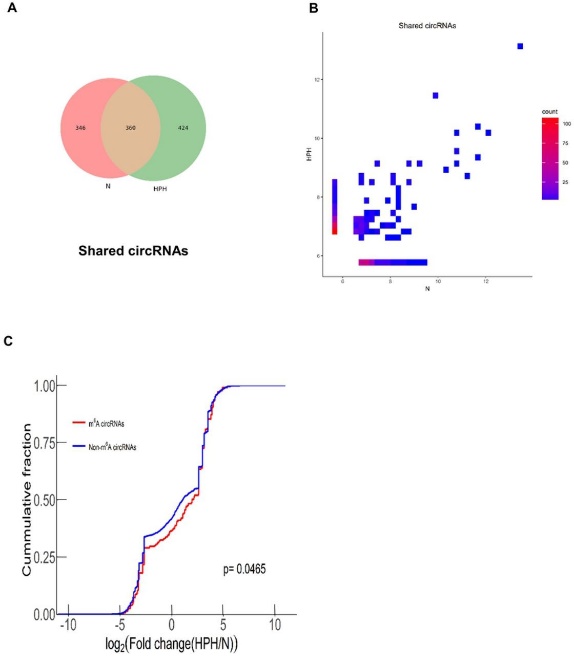 HPH模型中circRNA的m6A修饰 – circRNA论坛