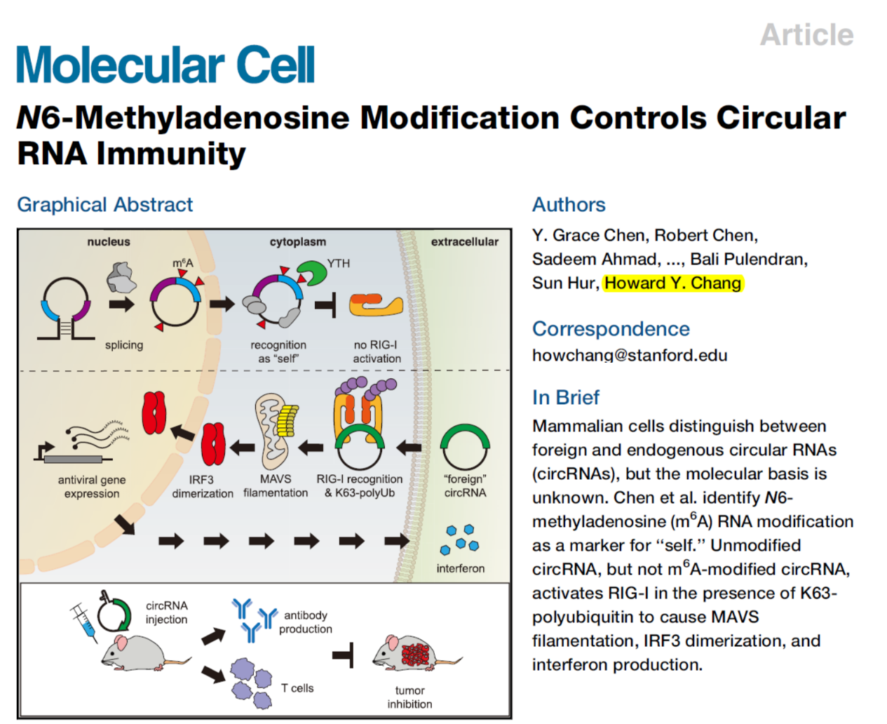 Molecular Cell m6A修饰的环状RNA不诱发免疫效应 – circRNA论坛