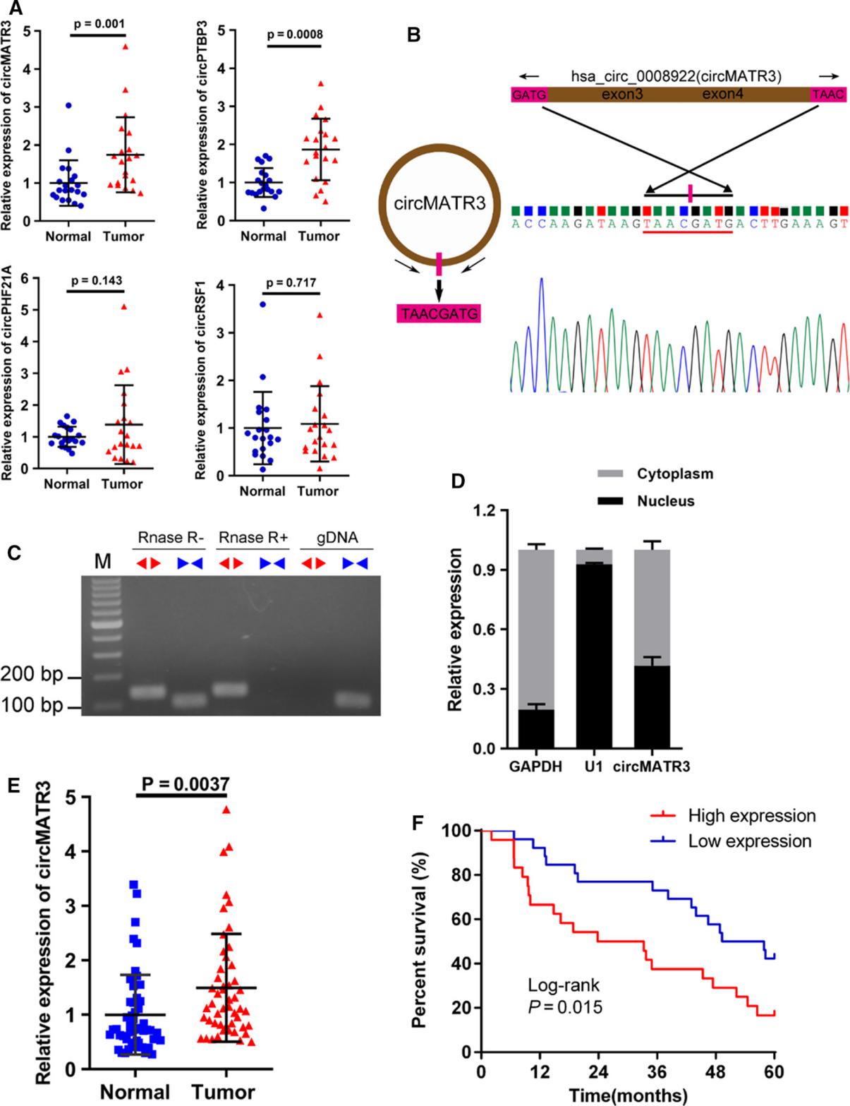 2020年3月circRNA研究汇总-2（20200309-20200315） – circRNA论坛