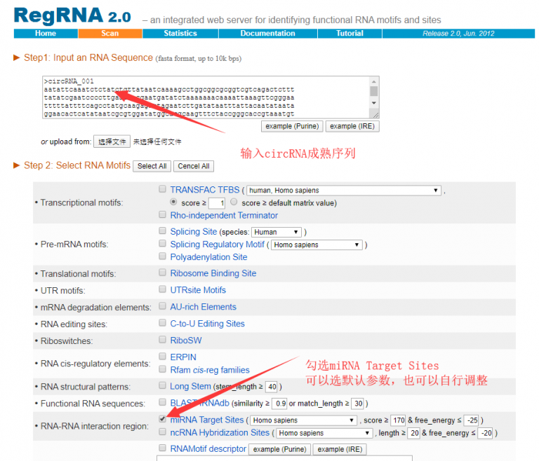regRNA 2.0数据库：通过circRNA序列预测miRNA结合位点 – circRNA论坛
