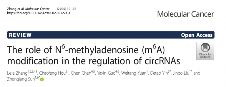 Molecular Cancer综述 circRNA的m6A修饰及其作用 – circRNA论坛