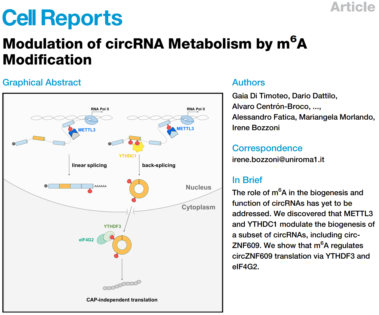 Cell Reports m6A修饰调控circZNF609的生成和翻译 – circRNA论坛