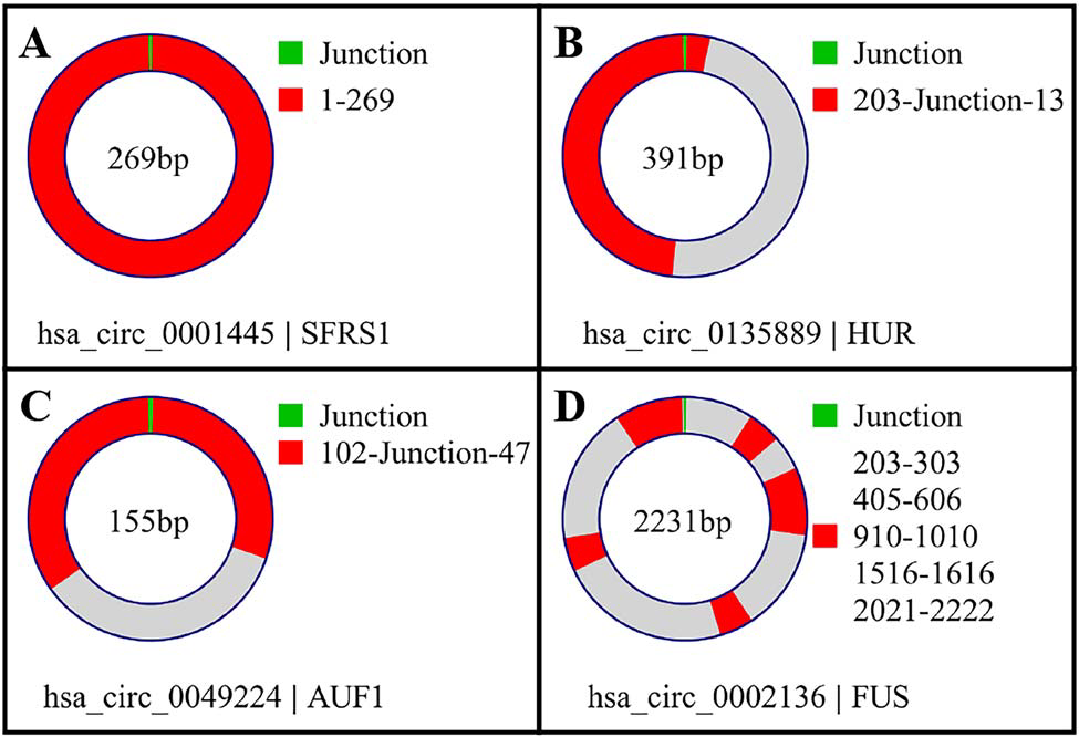 CRMSS | 又一款预测circRNARBP结合位点的工具 – circRNA论坛