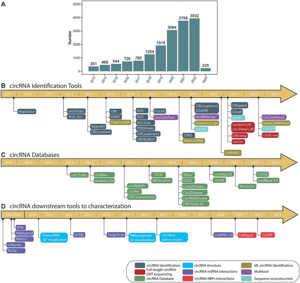 环状RNA十年丨你想了解的环状RNA生物信息学工具这里都有 – circRNA论坛